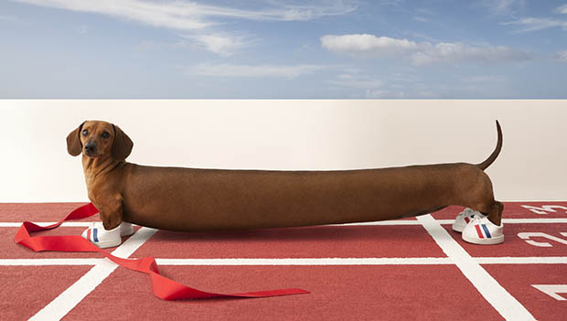 SORRY, I’VE GOT TO DASH! | Stern Words